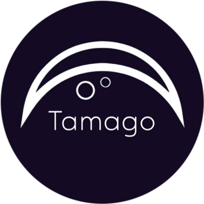 Tamago Price, Chart & Market Data | Surf AI